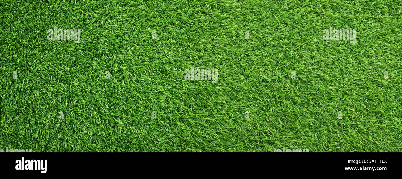 Green artificial grass as background, banner design Stock Photo - Alamy