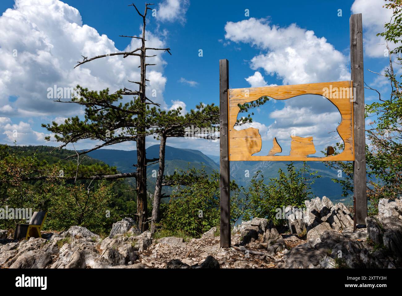 Viewpoint Banjska stena with wooden bear sign in Tara national park in ...