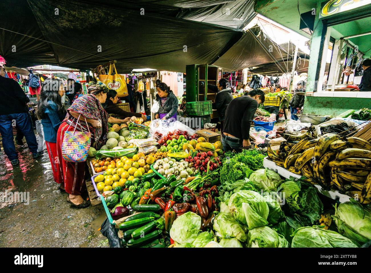 Indigenous agricultural sector hi-res stock photography and images - Alamy