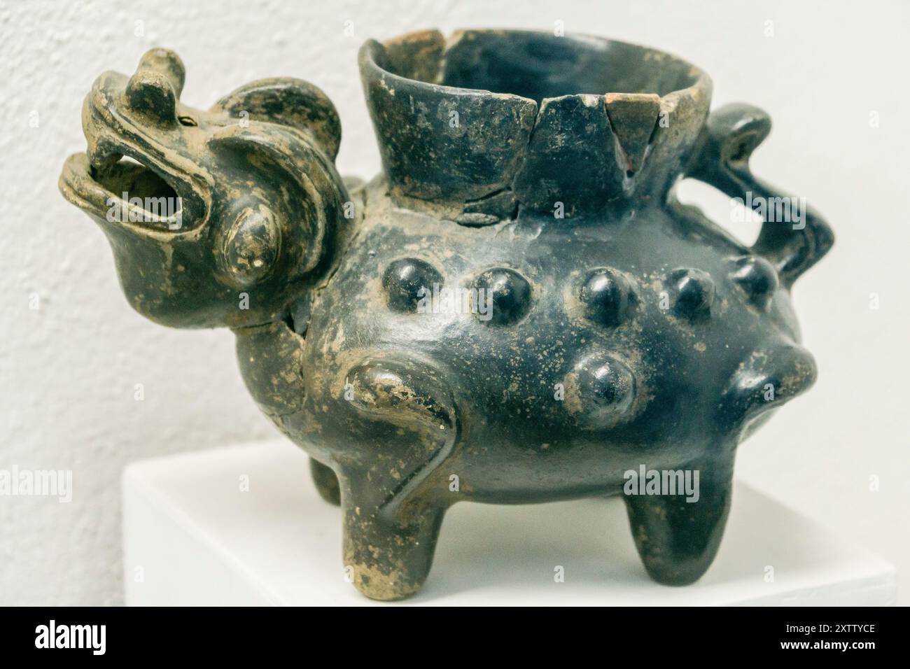 Zoomorphic canthar, tetrápode felina with black engobe, Protoclásico ...