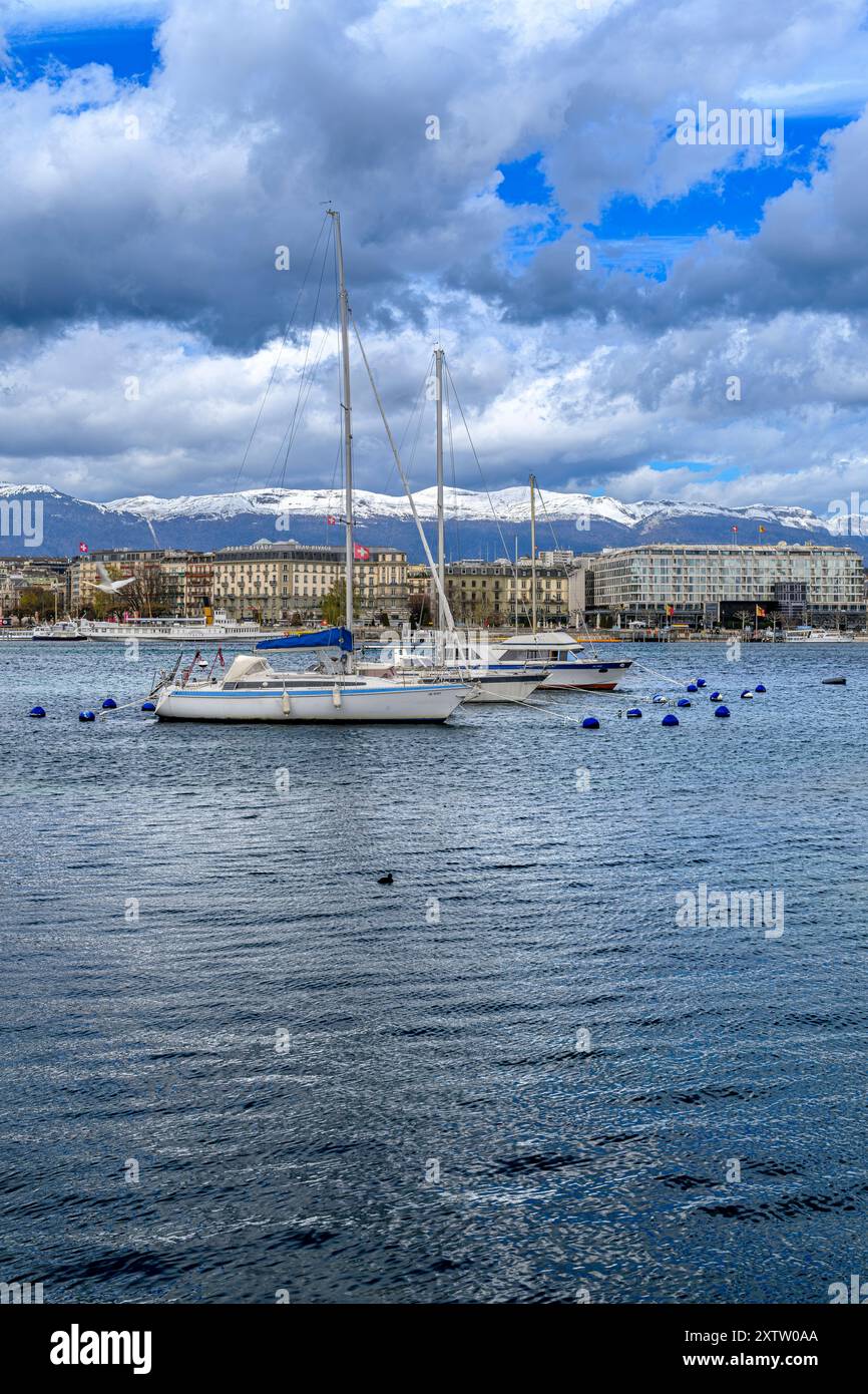 Luxury yachts on the shore of the crystal-clear Lake Geneva, with snow ...