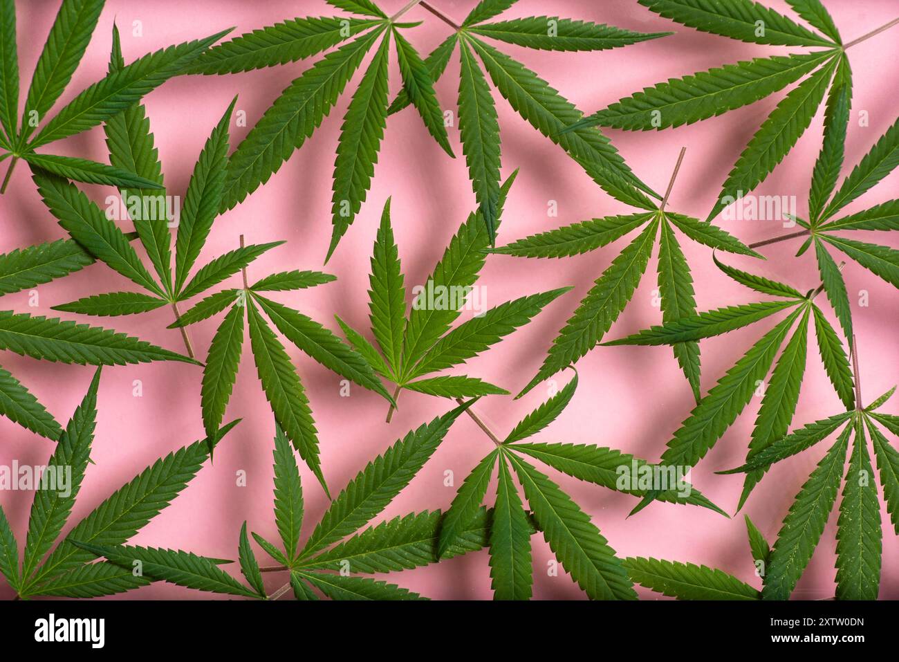 Weed falling hi-res stock photography and images - Alamy