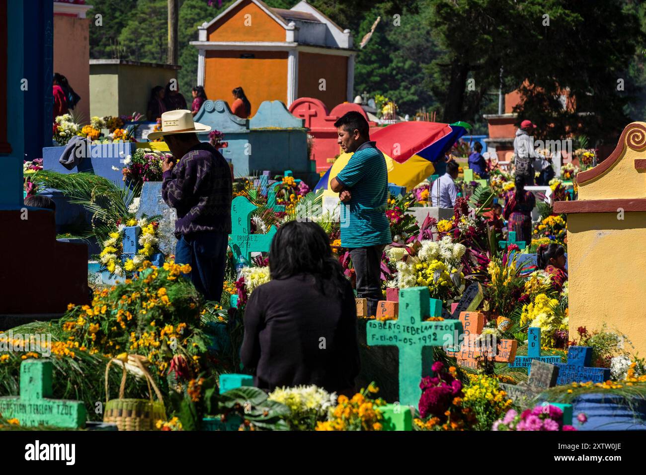 Freshly painted colorful graves, Day of the Dead celebration at the ...