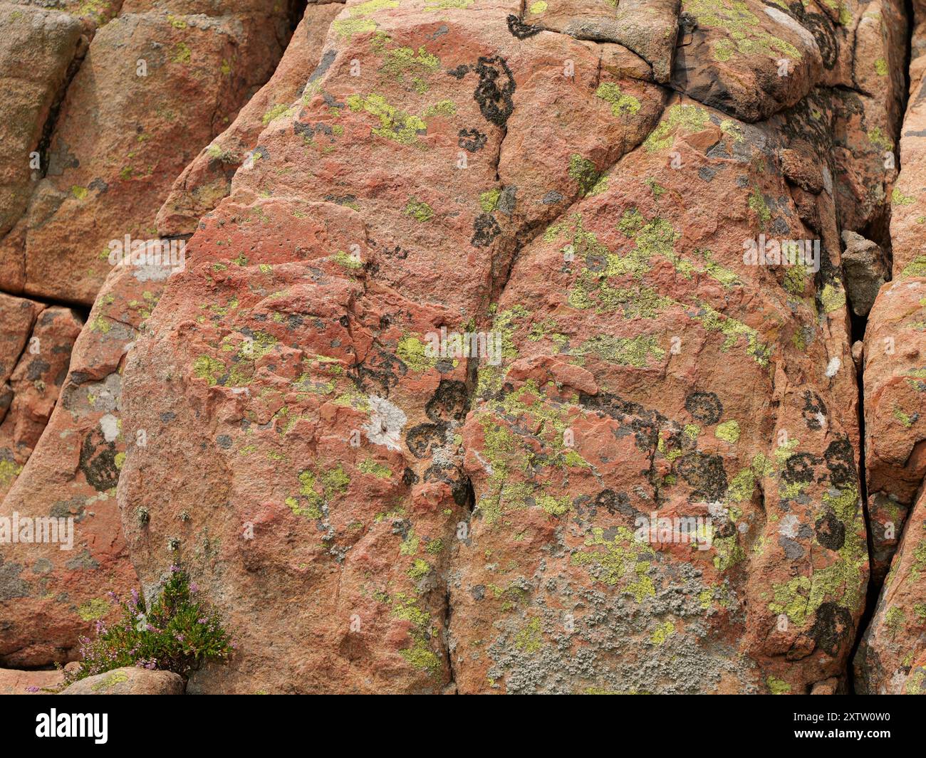 Photo of a reddish granite surface of a boulder, suitable for use as a ...