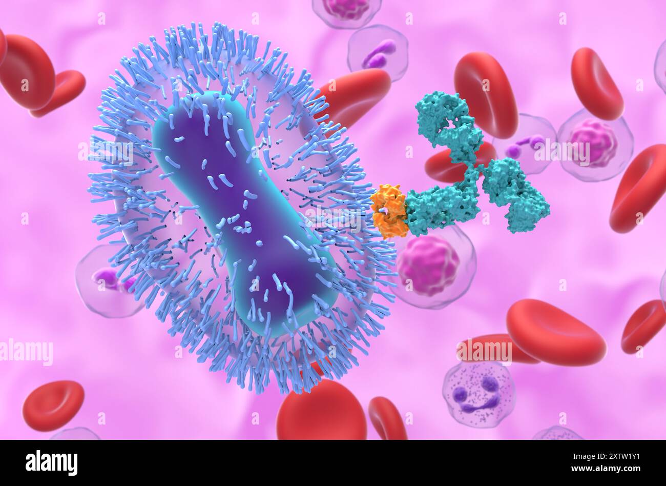 Monoclonal antibody therapy in Mpox (monkeypox) - closeup view 3d ...