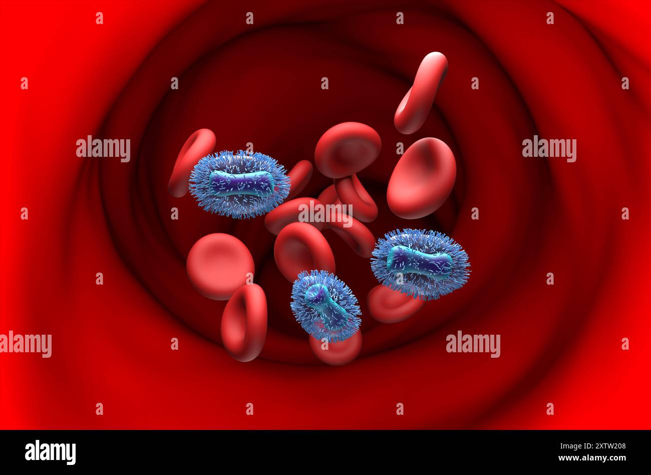 Mpox (monkeypox) - section view 3d illustration Stock Photo - Alamy