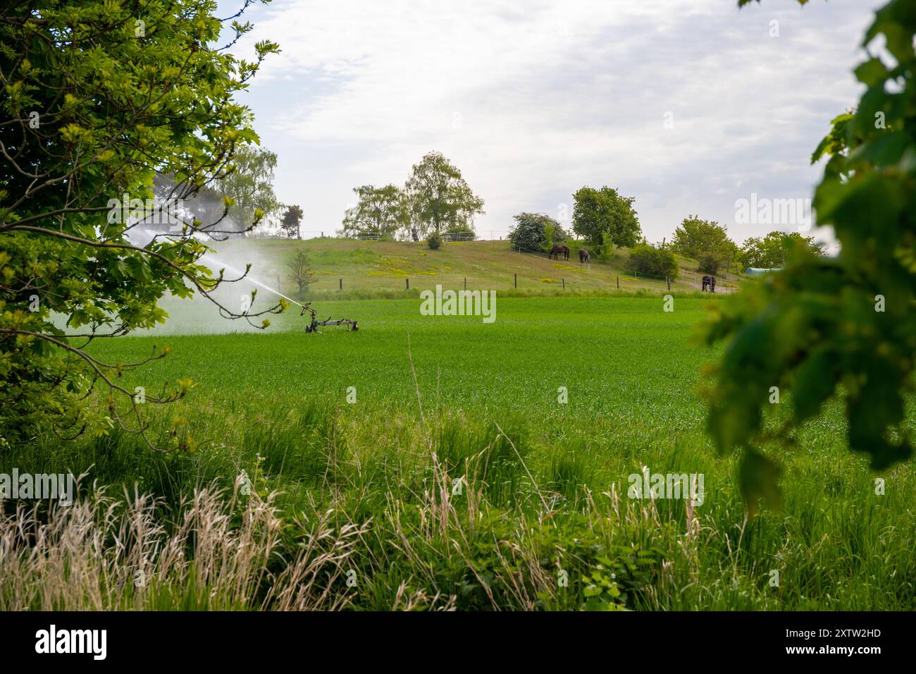 Field with hill and a water cannon irrigating. High quality photo Stock ...