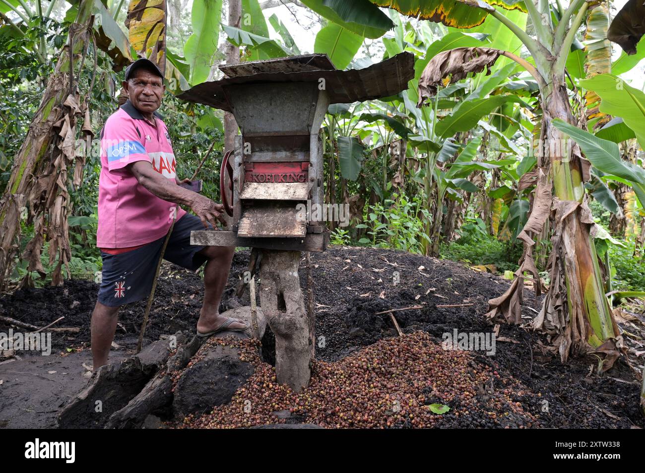 Highlands papua new guinea farming hi-res stock photography and images ...