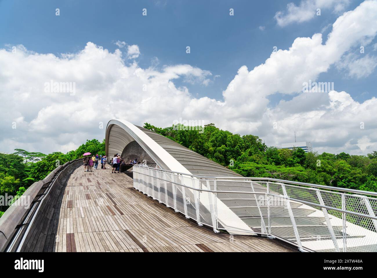 Amazing bridge imitating a wave in Singapore. Wooden walkway Stock ...