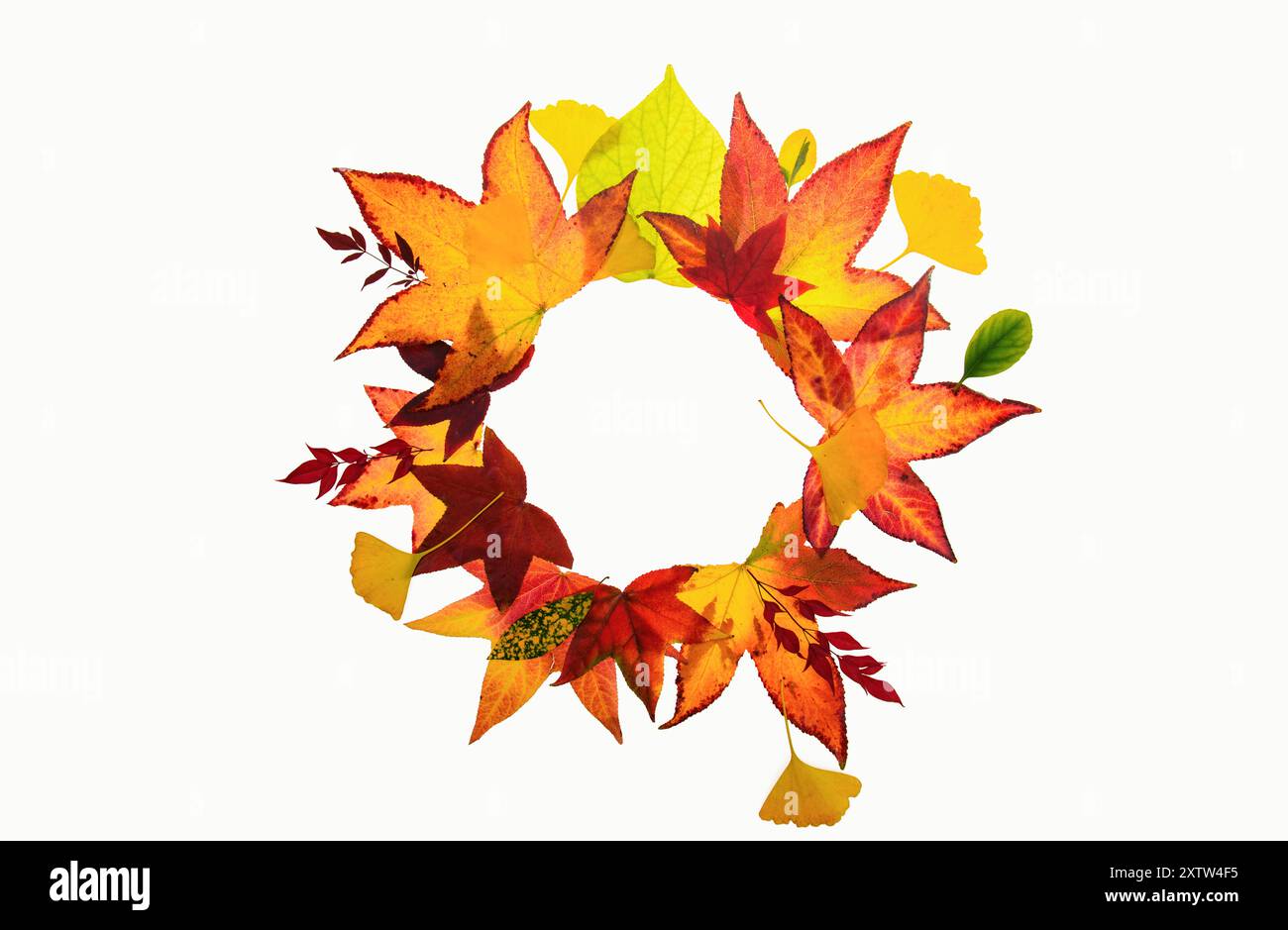 Autumn frame for design banners, leaflets, posters with space for your ...