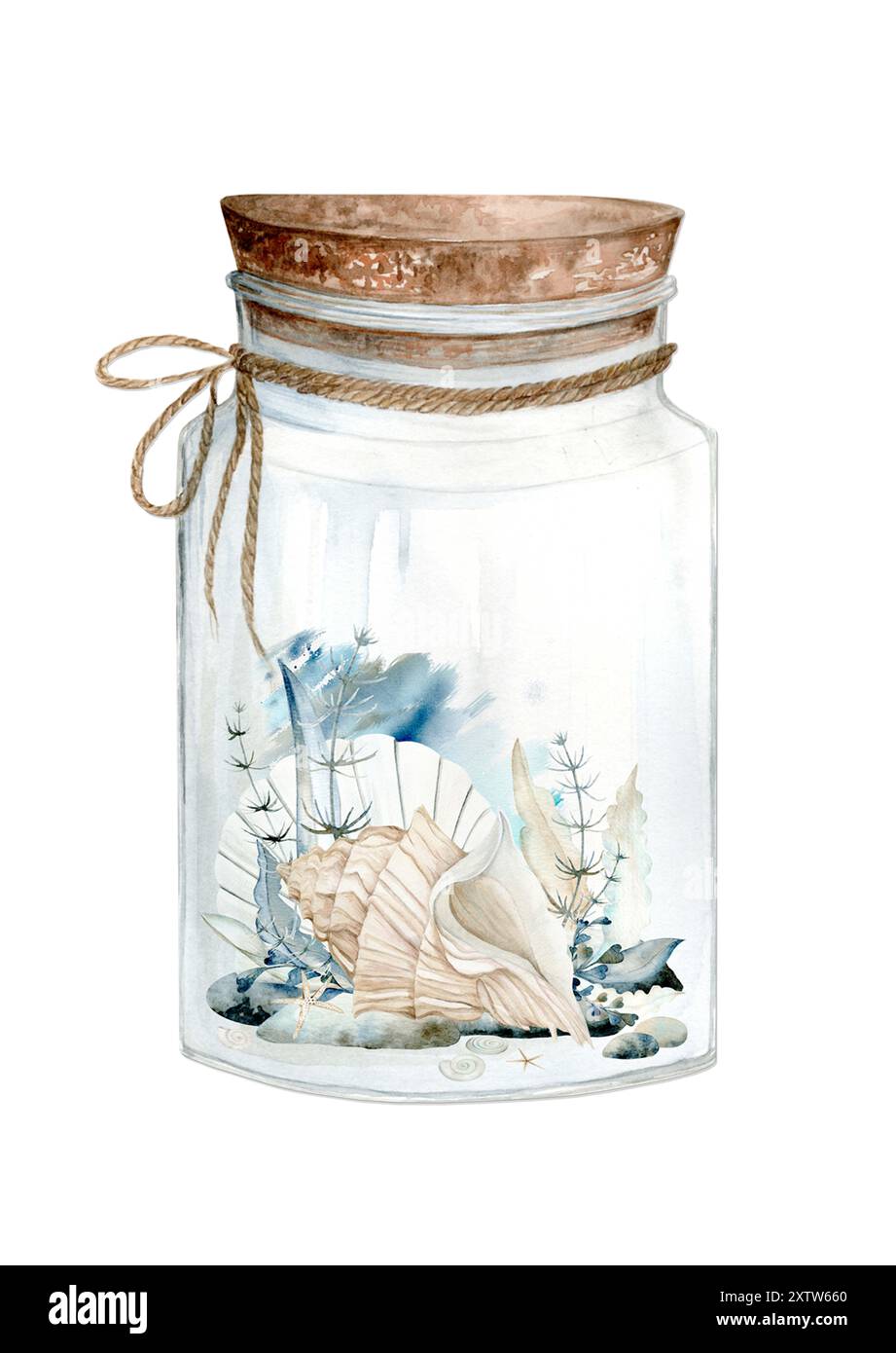 Sea shells, seaweed, pebbles in a glass jar. Isolated drawing on white ...