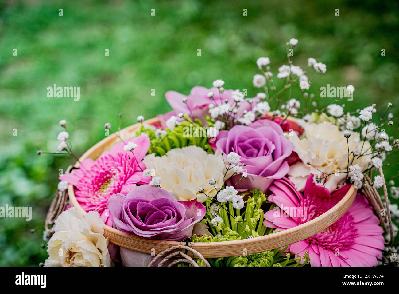Featuring delicate roses hi-res stock photography and images - Alamy