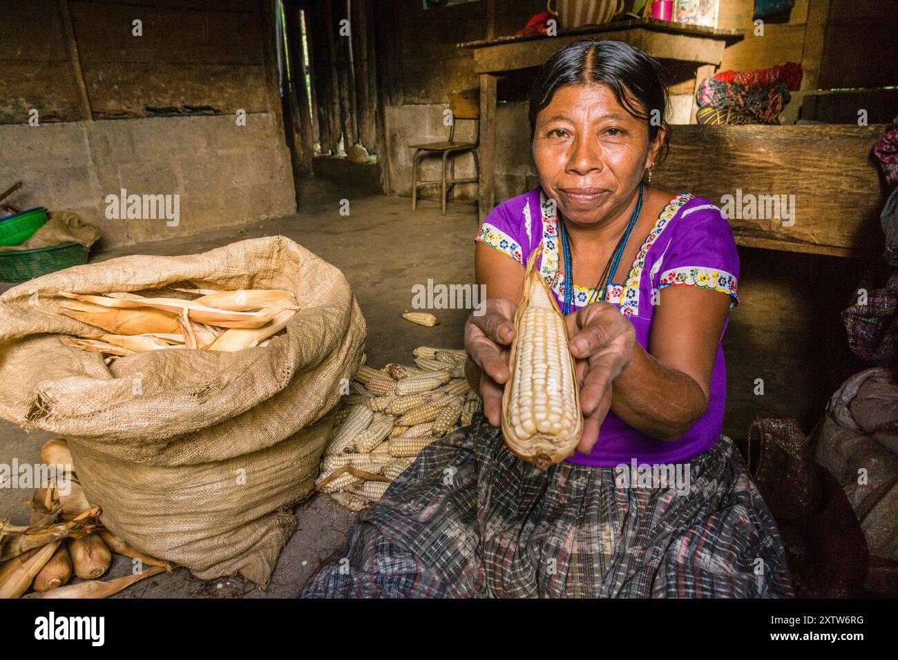 Quiché woman drying corn cobs , Sanuch village, Lancetillo, La ...