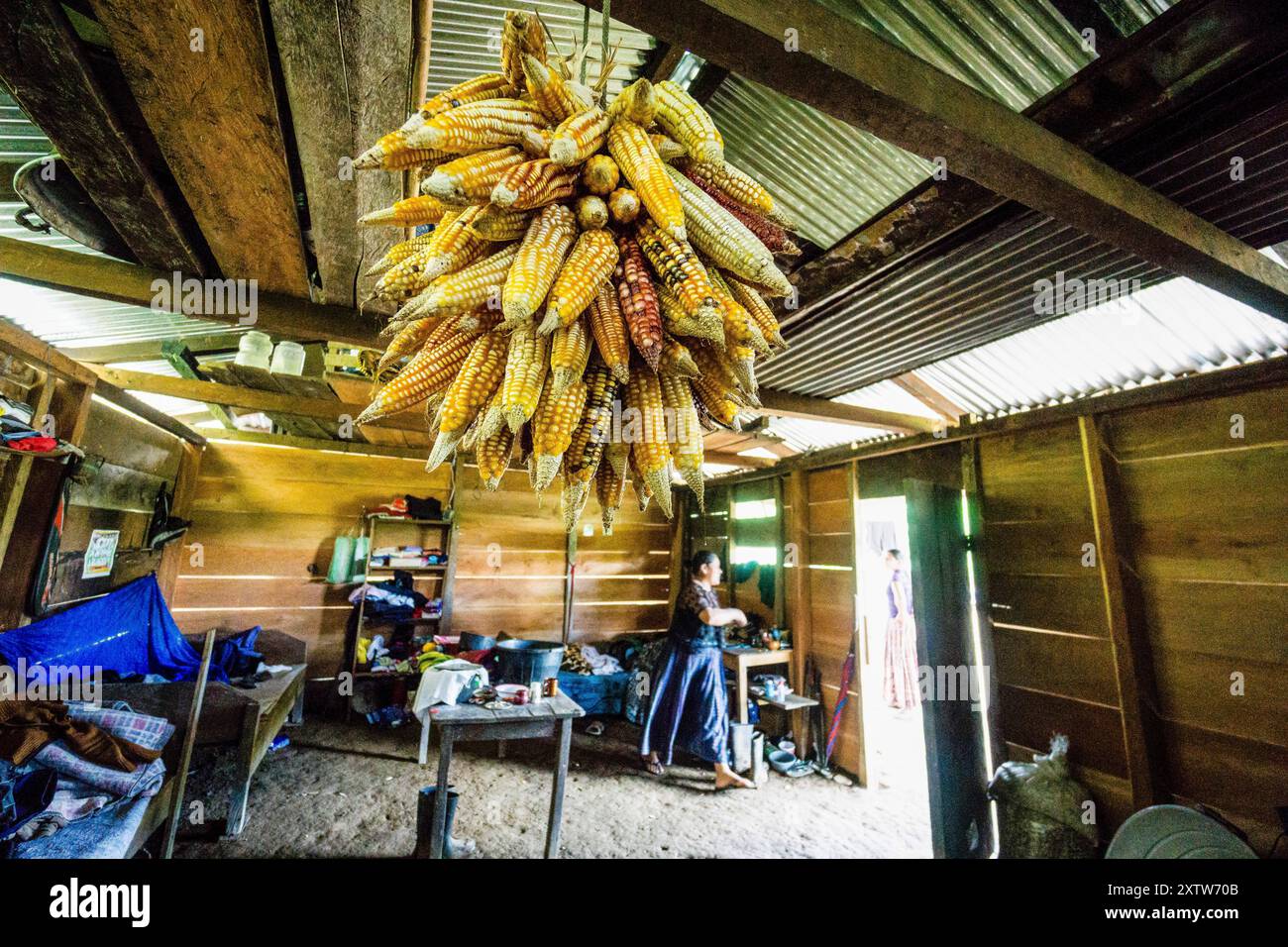 corn cob reserves, Lancetillo, La Parroquia, Reyna zone, Quiche ...