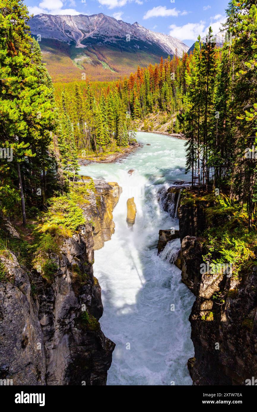 The magnificent Sunwapta waterfall and the Sunwapta river in Summer ...