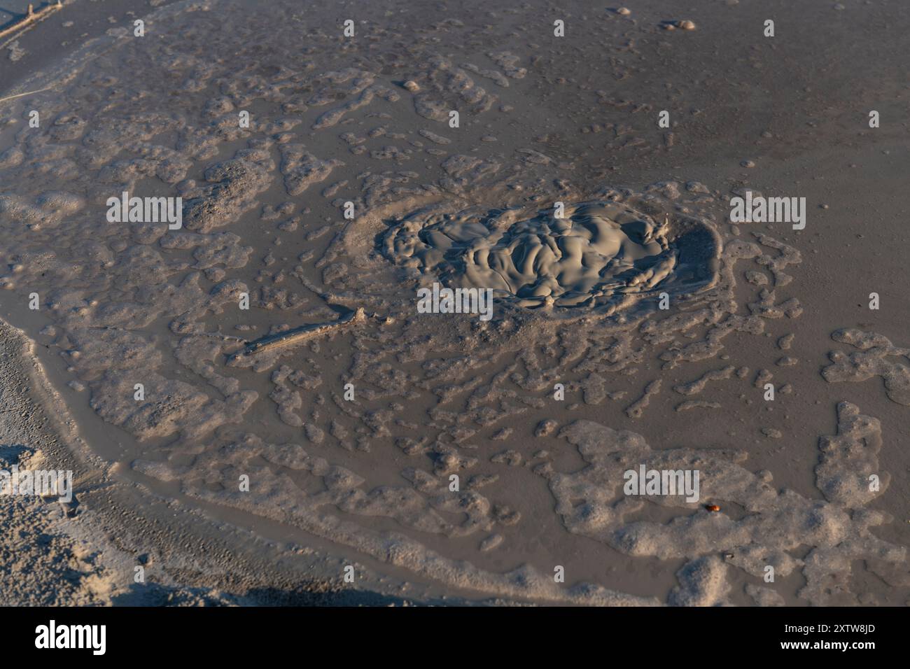 Active mud volcano in Berca, Buzau, Romania. These small, volcano ...