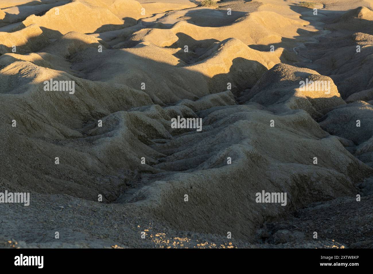 Arid landscape with mud rivers formations in Romania. This is a unique geological phenomenon in ...