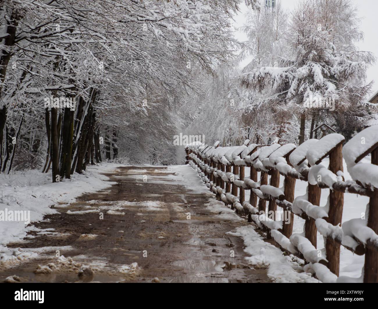 Winter landscape with white fluffy snow and trees reflecting in a ...