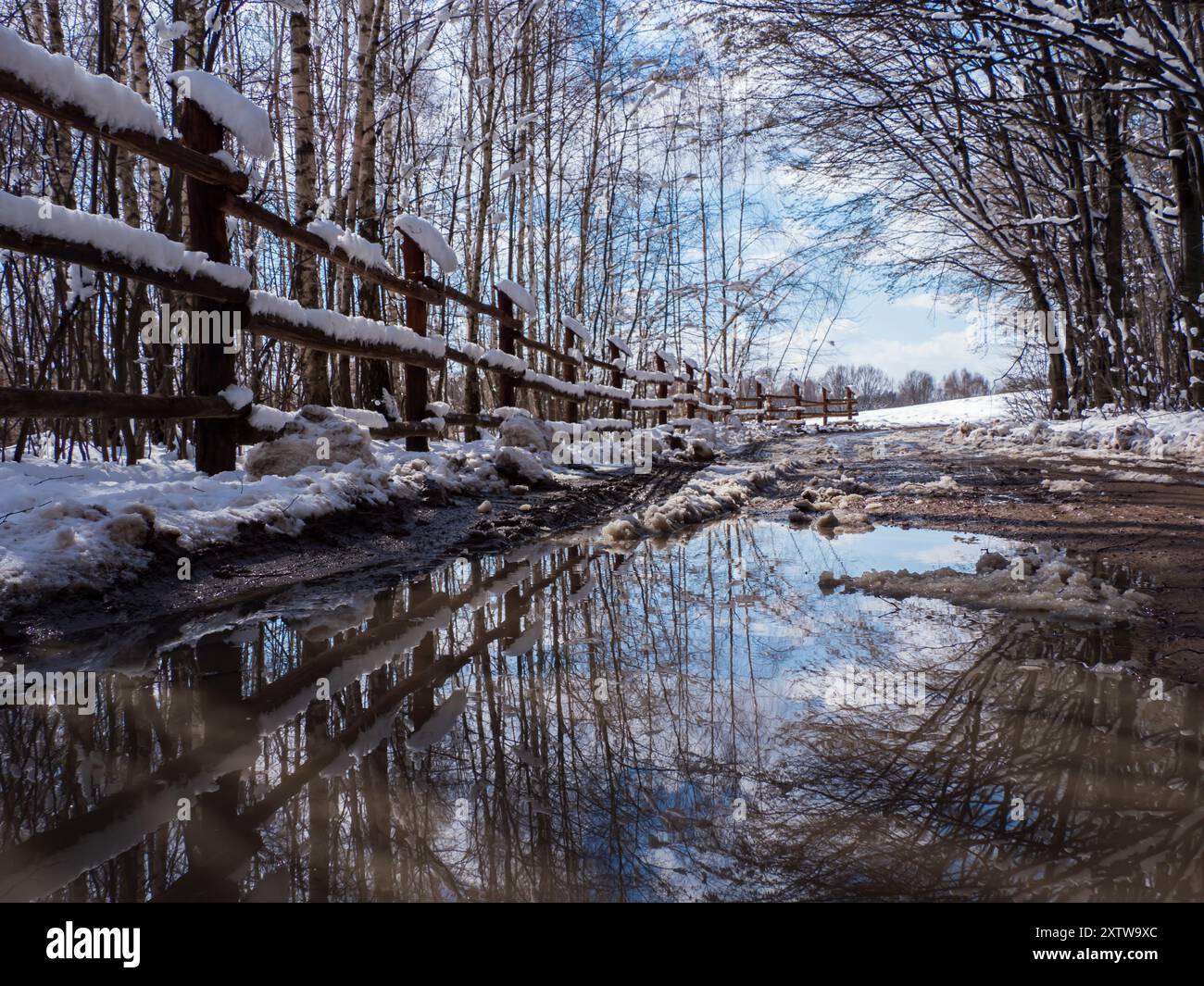Winter landscape with white fluffy snow and trees reflecting in a ...