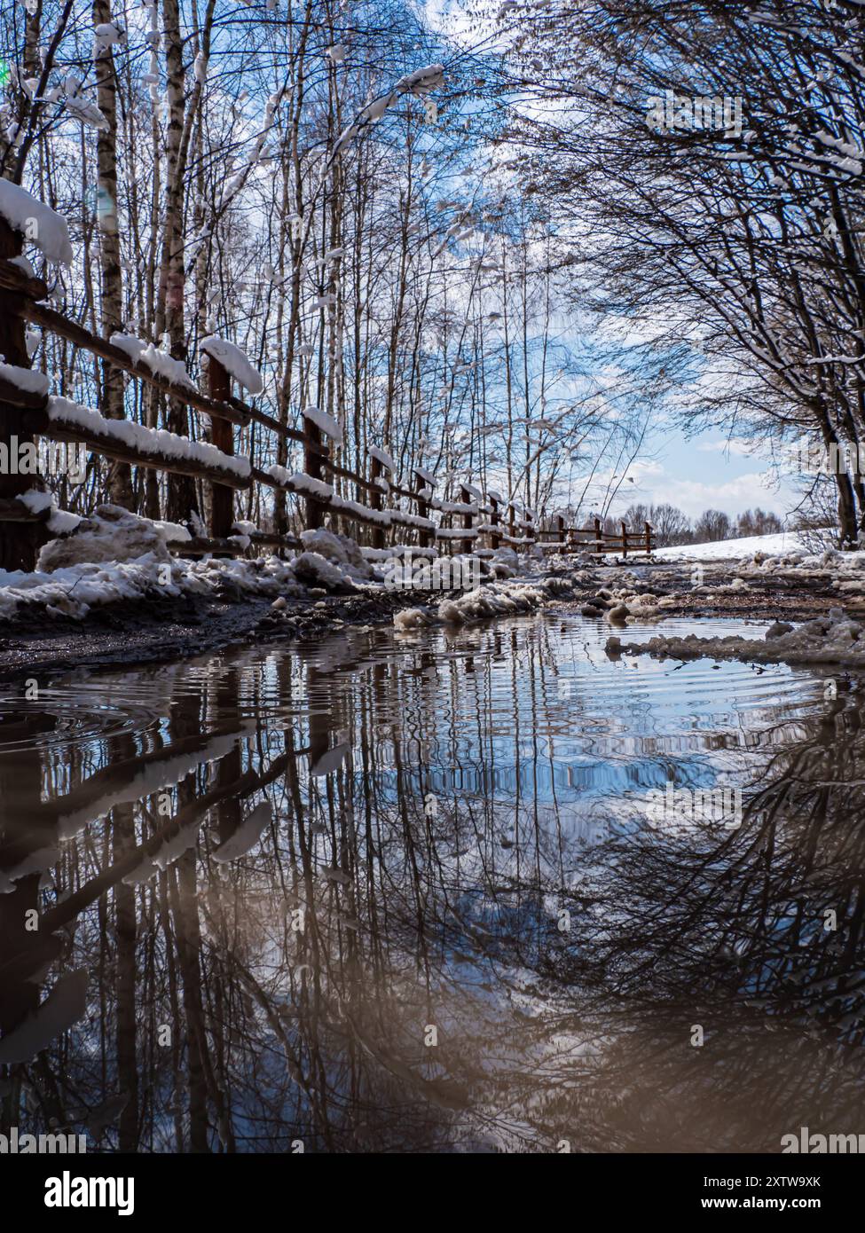 Winter landscape with white fluffy snow and trees reflecting in a ...