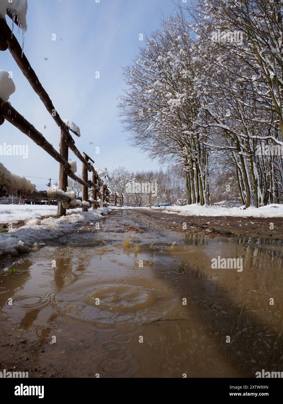 Winter landscape with white fluffy snow and trees reflecting in a ...