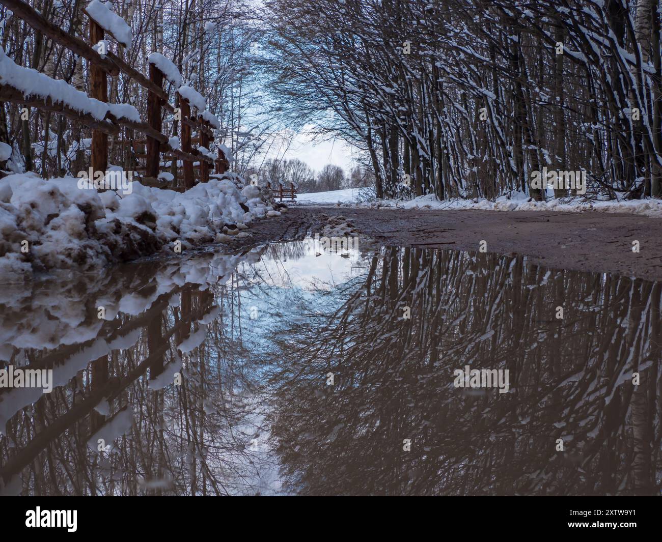 Winter landscape with white fluffy snow and trees reflecting in a ...