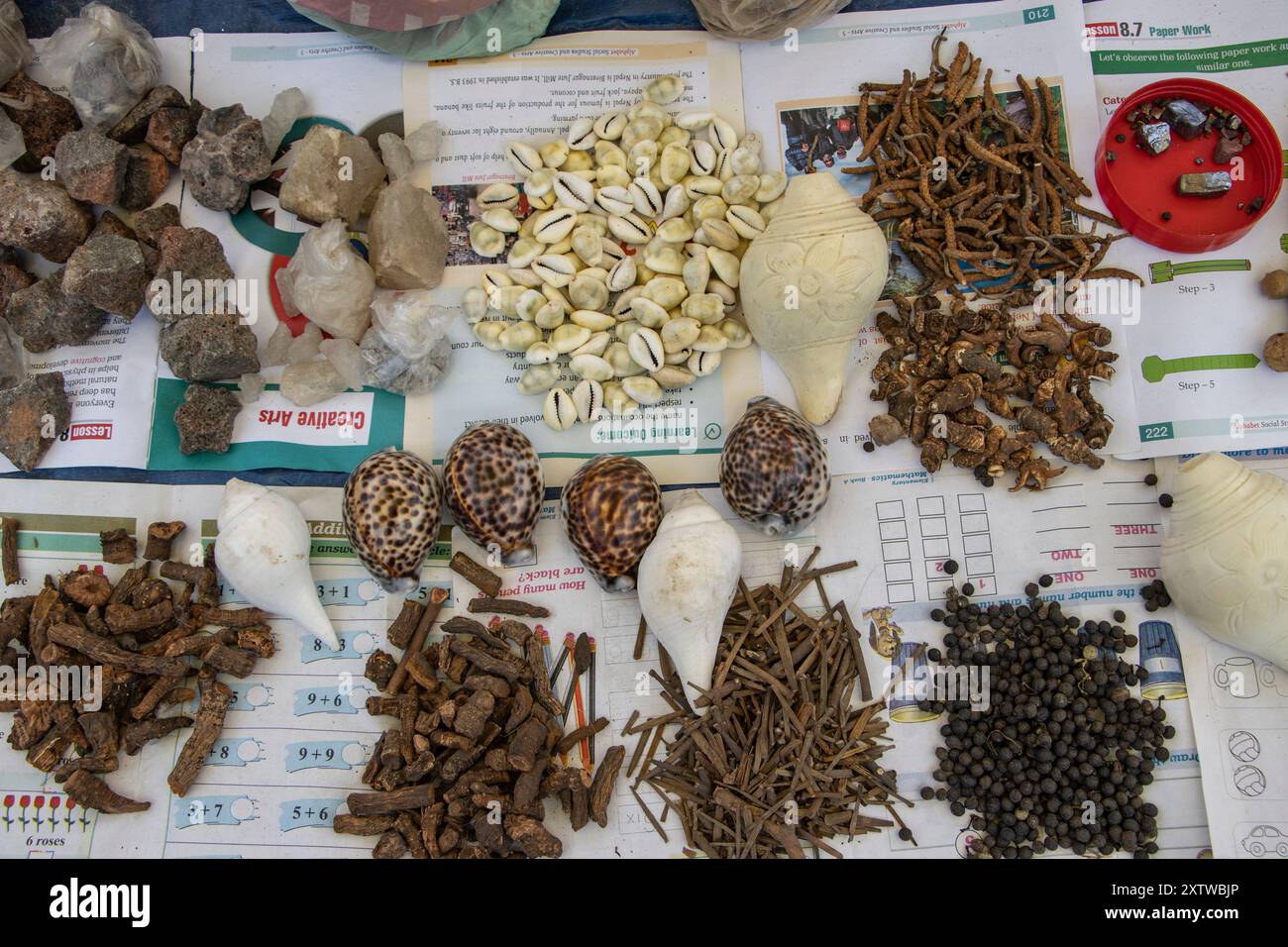 Medicinal herbs and spices at Haat Bazaar in Khandbari. Yarsagumba ...