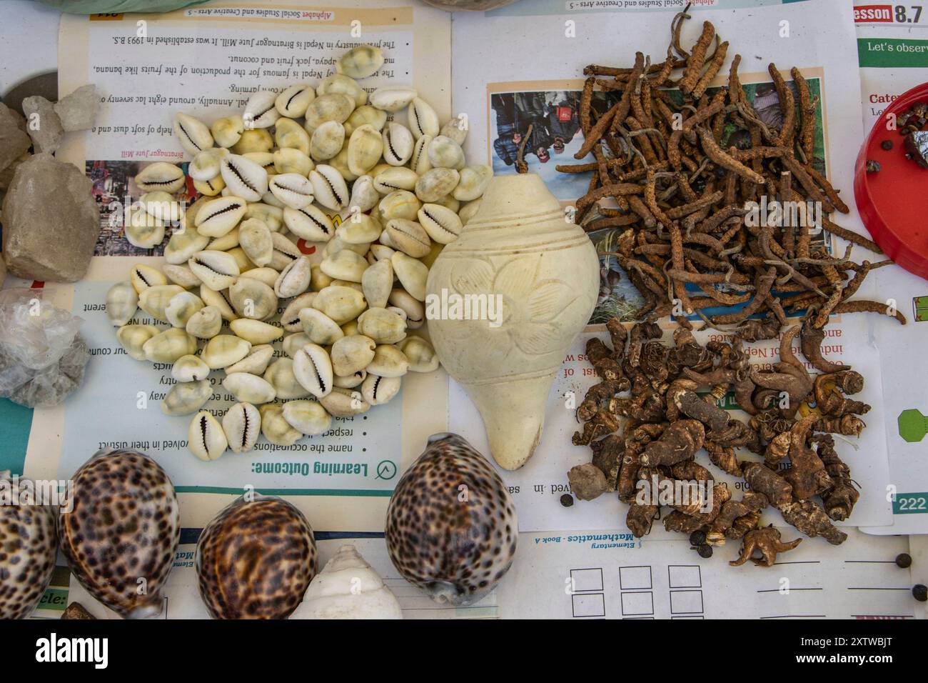 Yarshagumba hi-res stock photography and images - Alamy