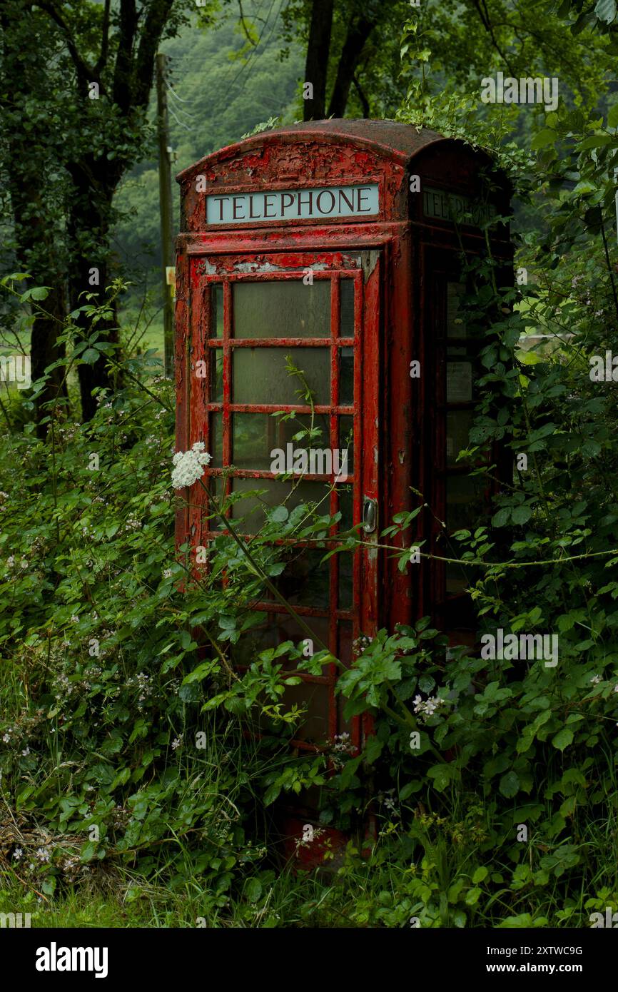 Red telephone box overgrown plants hi-res stock photography and images ...