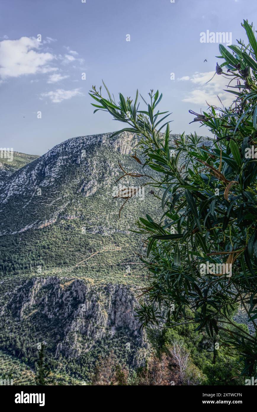 Greece aerial delphi hi-res stock photography and images - Alamy
