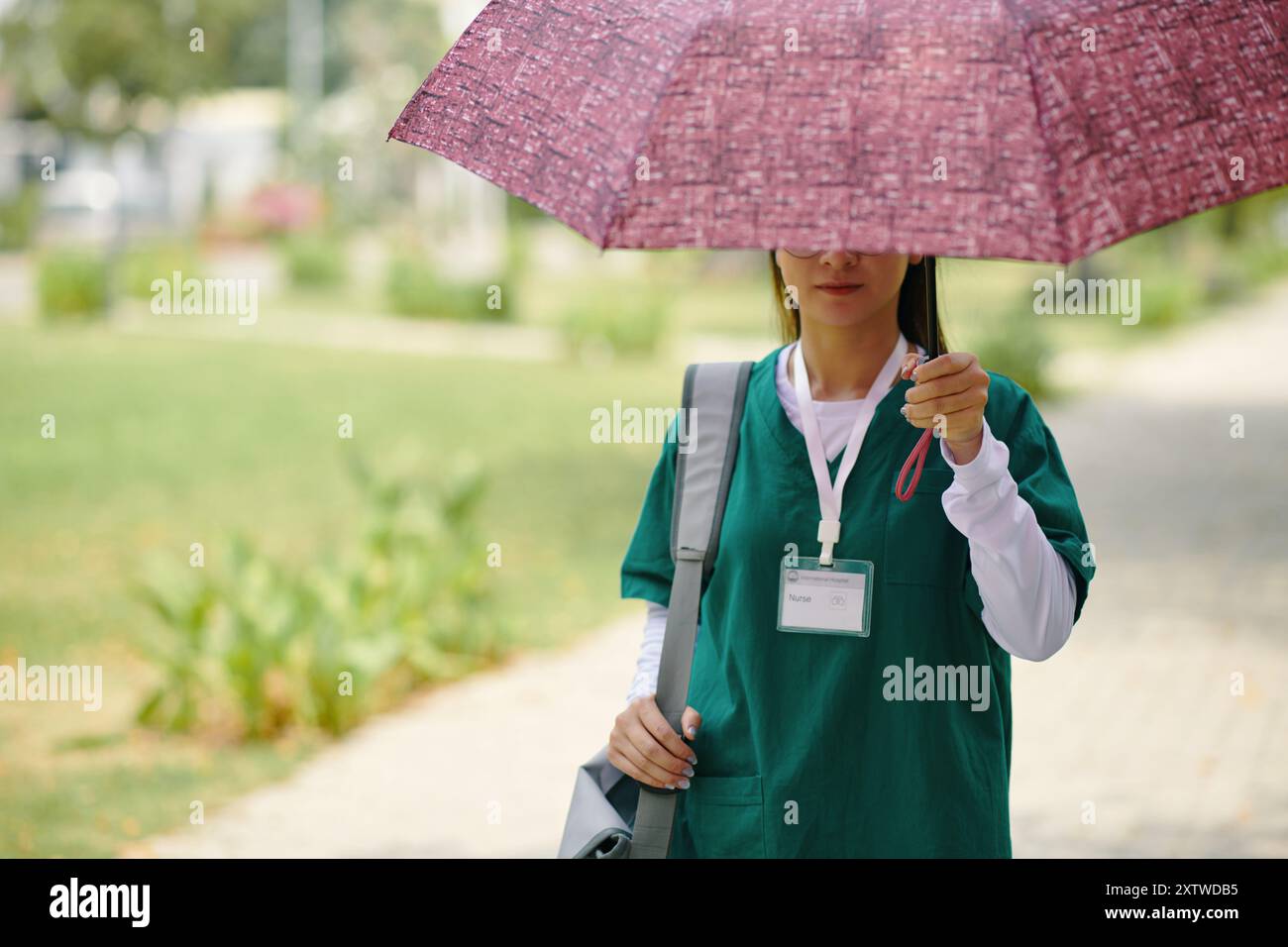 Nurse Walking Among Outdoor Greenery Holding Pink Umbrella Stock Photo ...