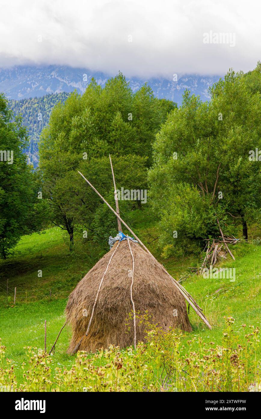 Romanian hayrick in foothills of Piatra Craiului ridge Stock Photo - Alamy