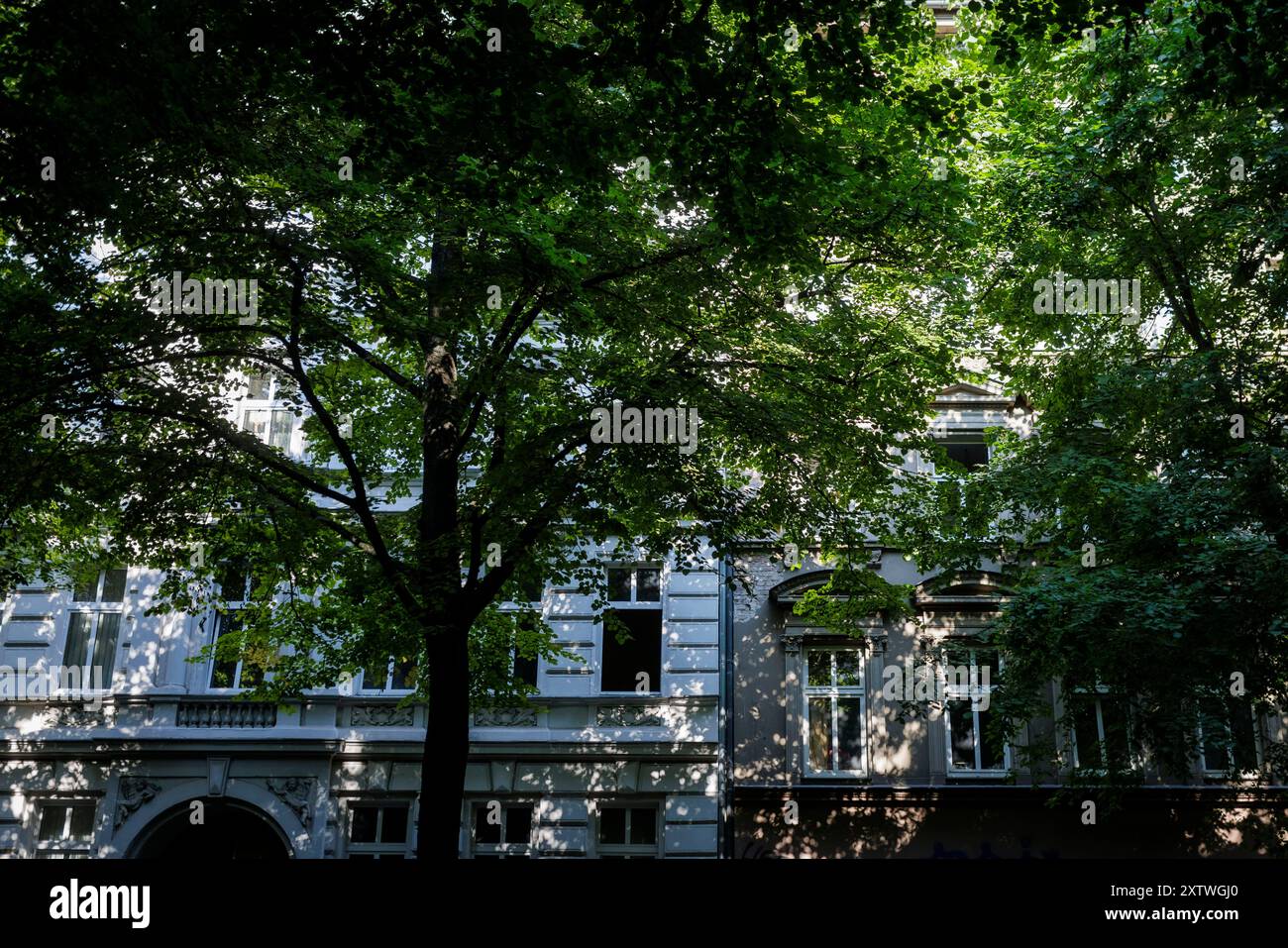 In a street in Kreuzberg, many trees provide shade on residential ...
