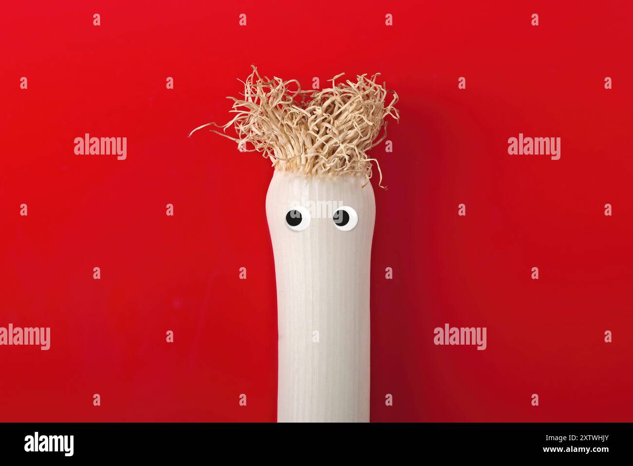 Vegetables: Funny Leek with googly eyes Isolated on red Background ...