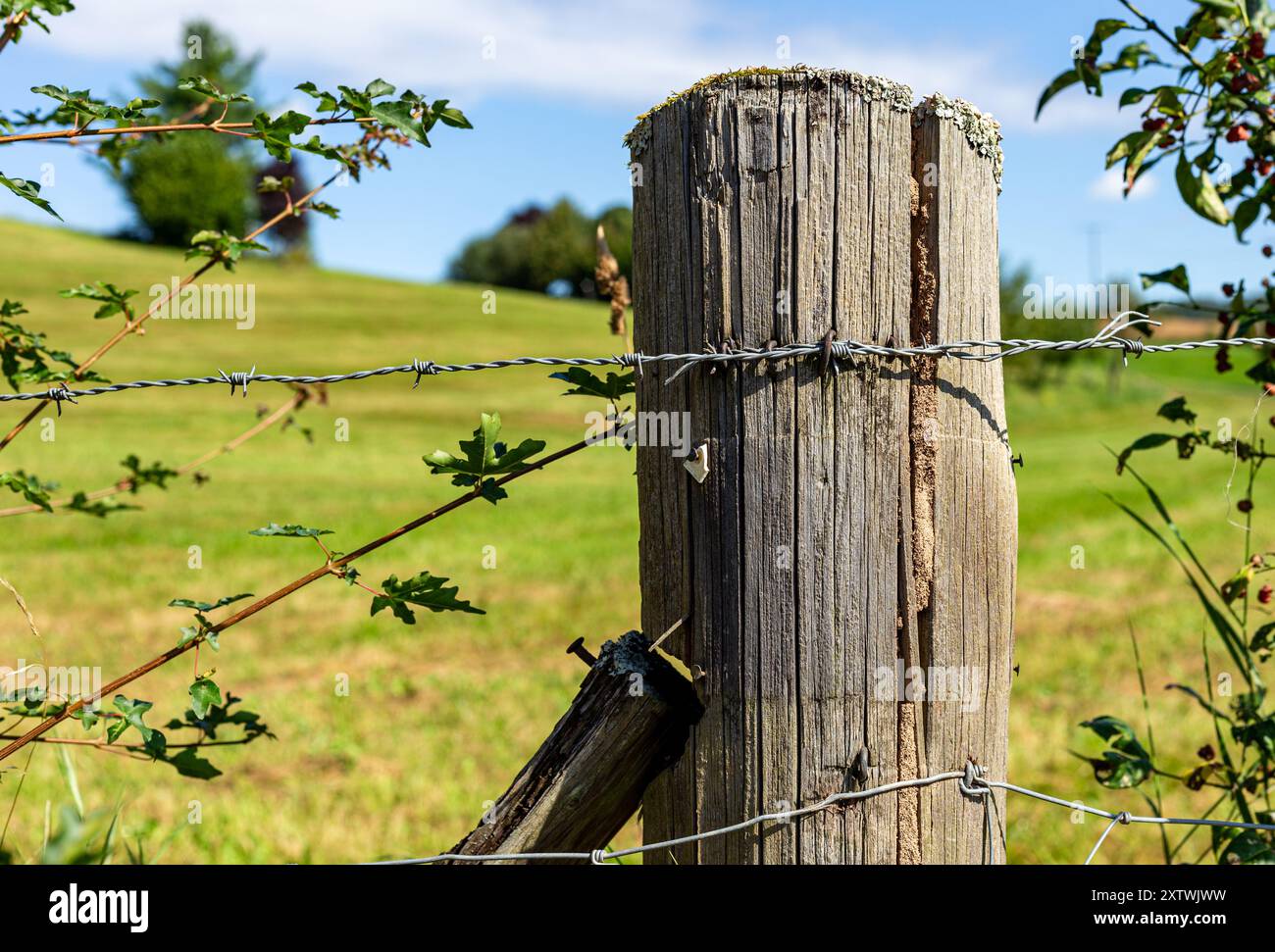 Traditional fencing hi-res stock photography and images - Alamy