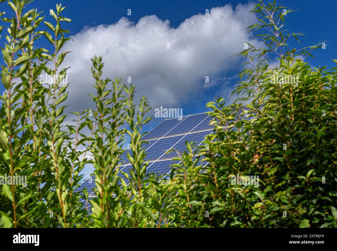 Photovoltaic panels. Ecological houses with modern solar panels on the ...