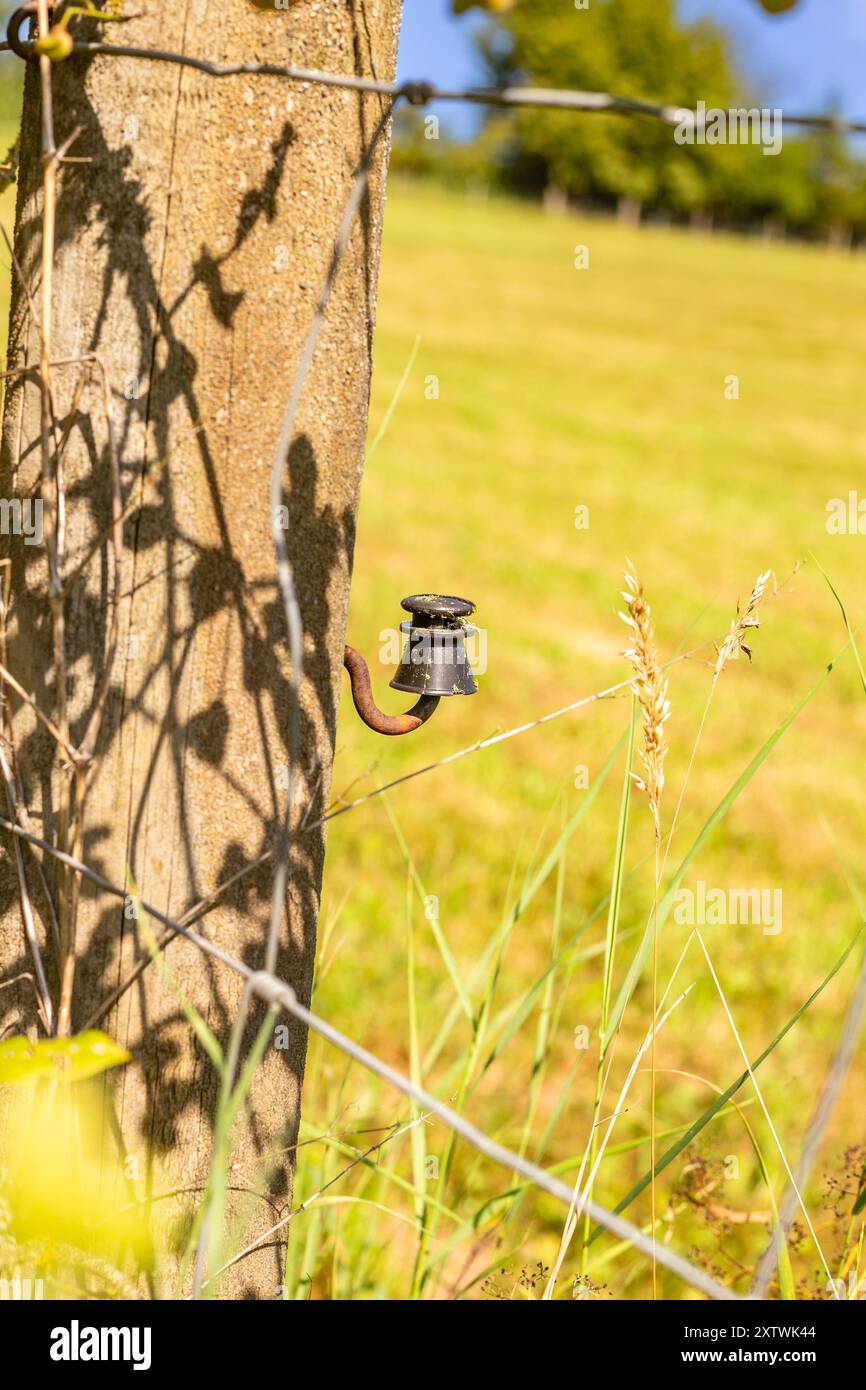 Electric insulator on a wooden pole. Electric protection of the pasture ...