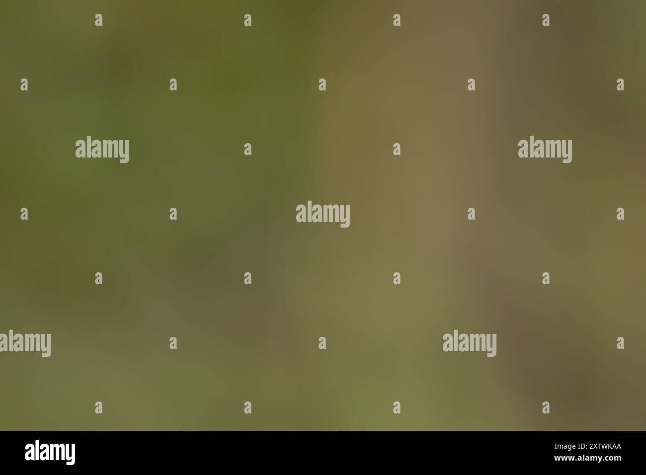 Dark green blurred background with neutral green tones inspired by a ...