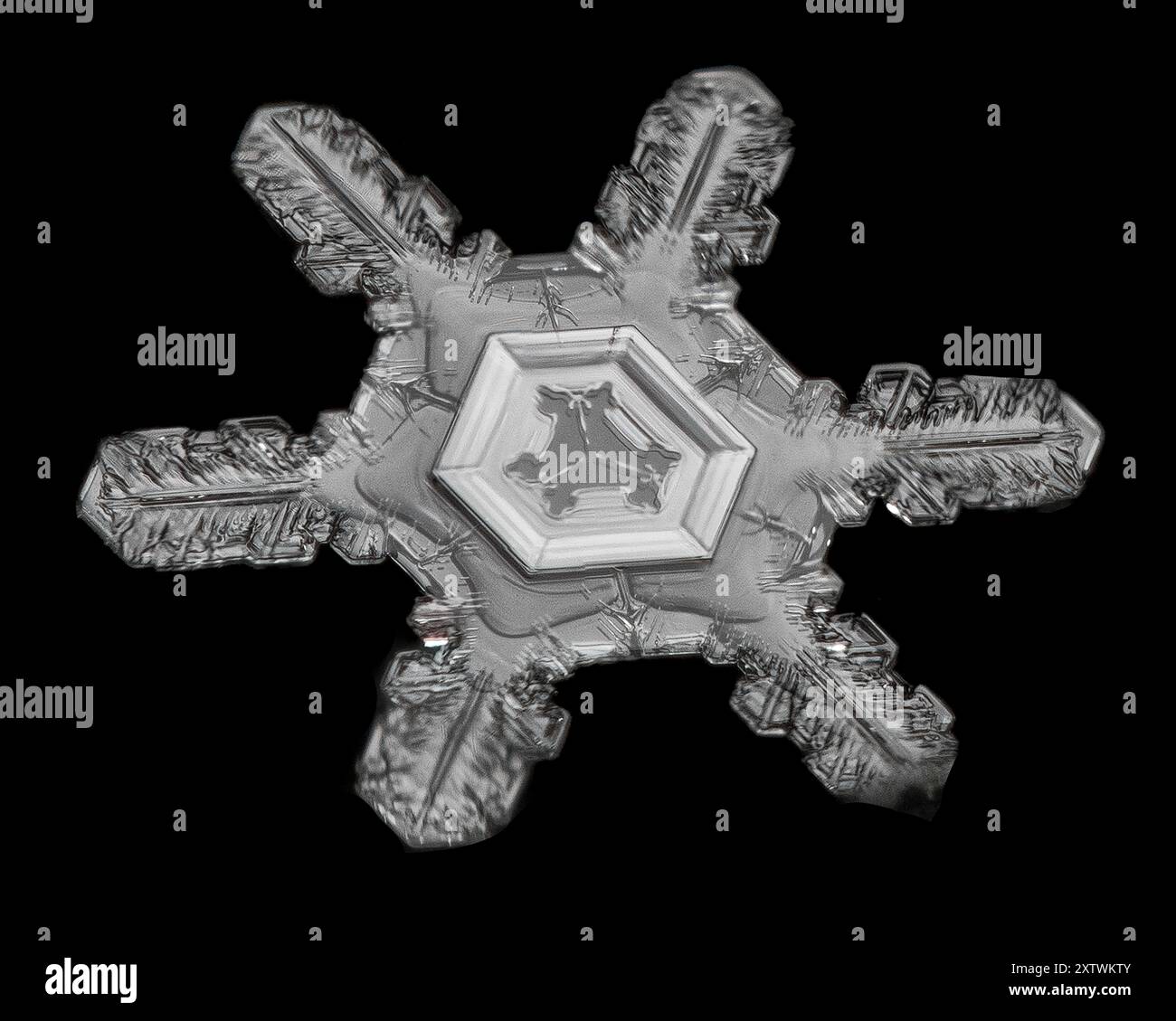 Intricate snowflake hexagonal pattern hi-res stock photography and ...