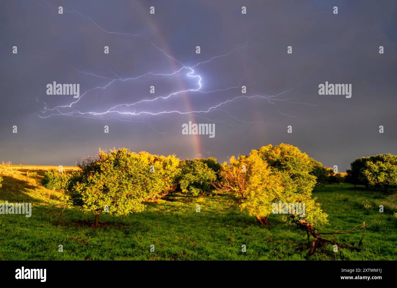 Vivid lightning illuminating the sky above a lush green landscape with ...