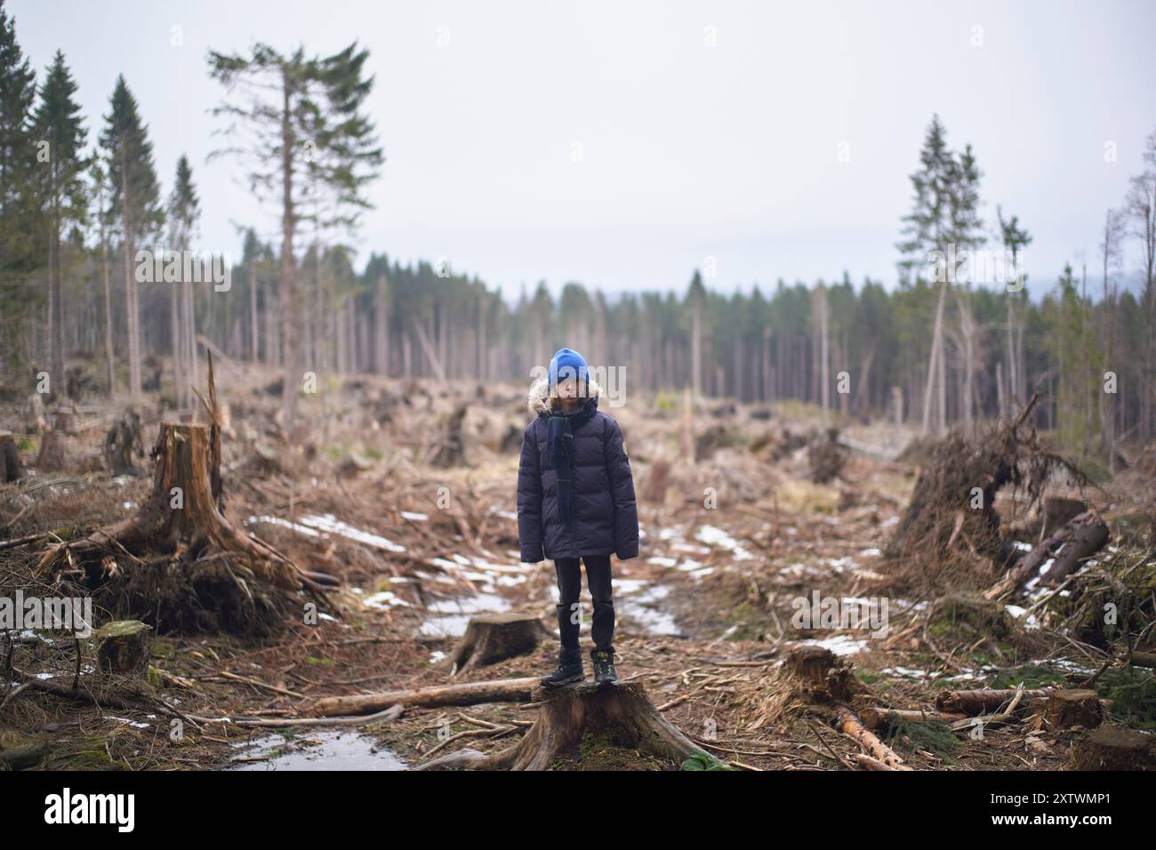Young child standing on a tree stump in a deforested area wearing a ...