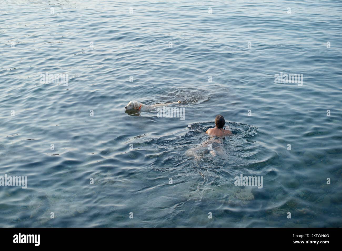 Two people swimming peacefully in a calm, expansive body of water under ...