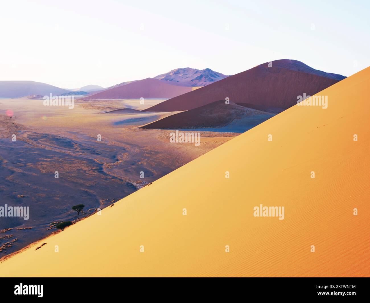 Golden sand dune edges with shadows cast during sunrise over a vast ...