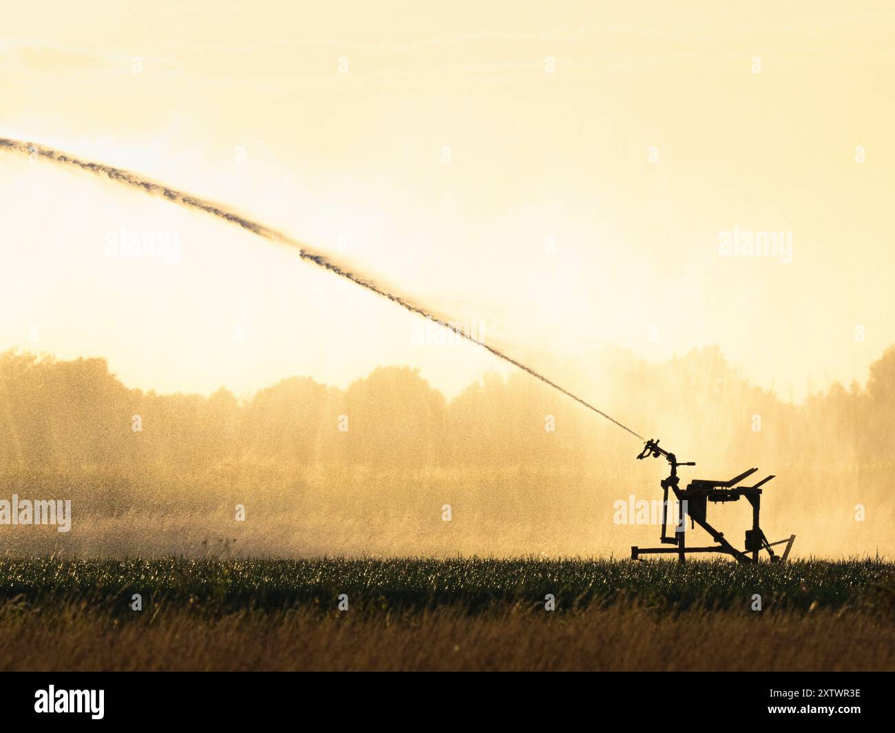 Rain gun irrigation system watering crop, Aldreth, Cambridgeshire Stock ...