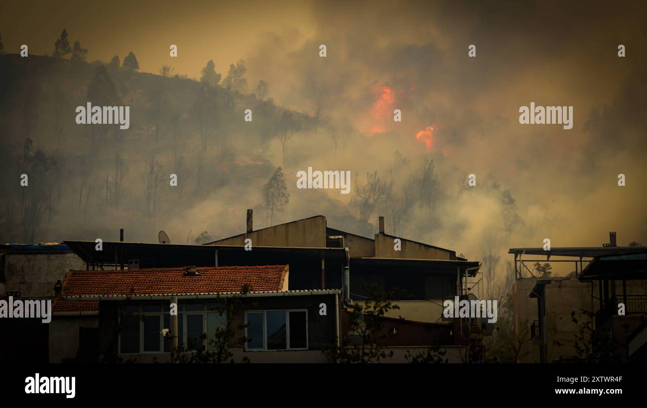 Wildfire has reached into the residential area Efforts to extinguish a ...