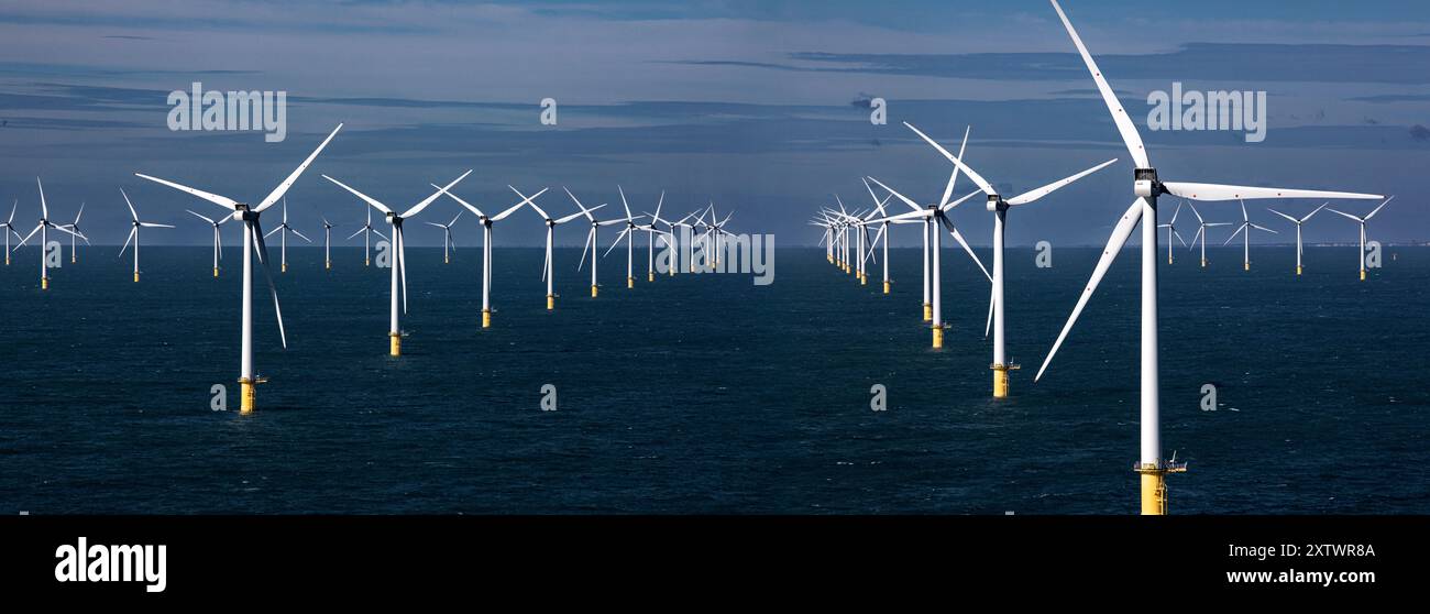 Offshore wind farm with multiple turbines standing in the sea under a ...