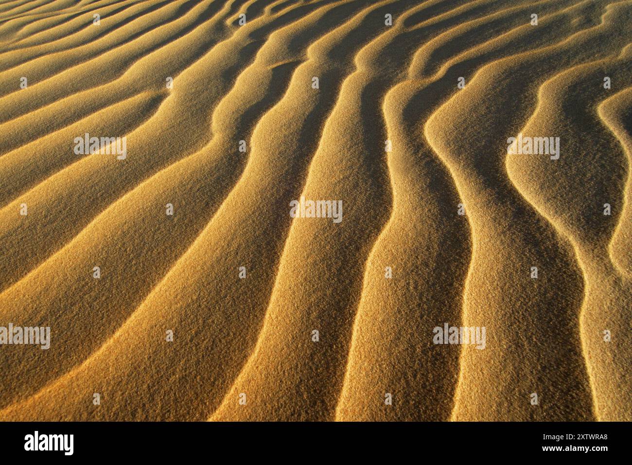 Egypt, Great Sand Sea, Middle East, Africa Stock Photo - Alamy