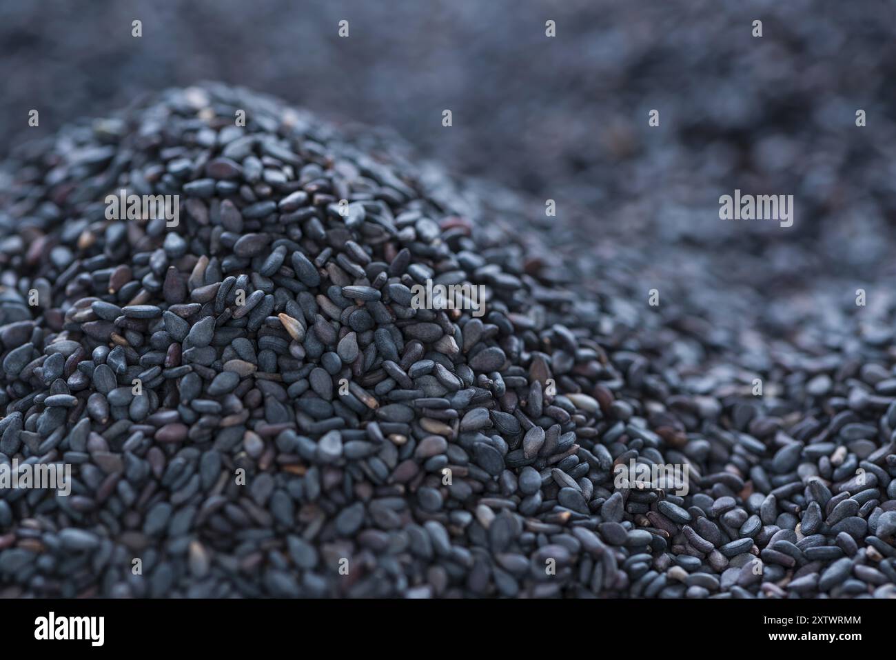 Portion of black Sesame (detailed close-up shot) for use as background ...