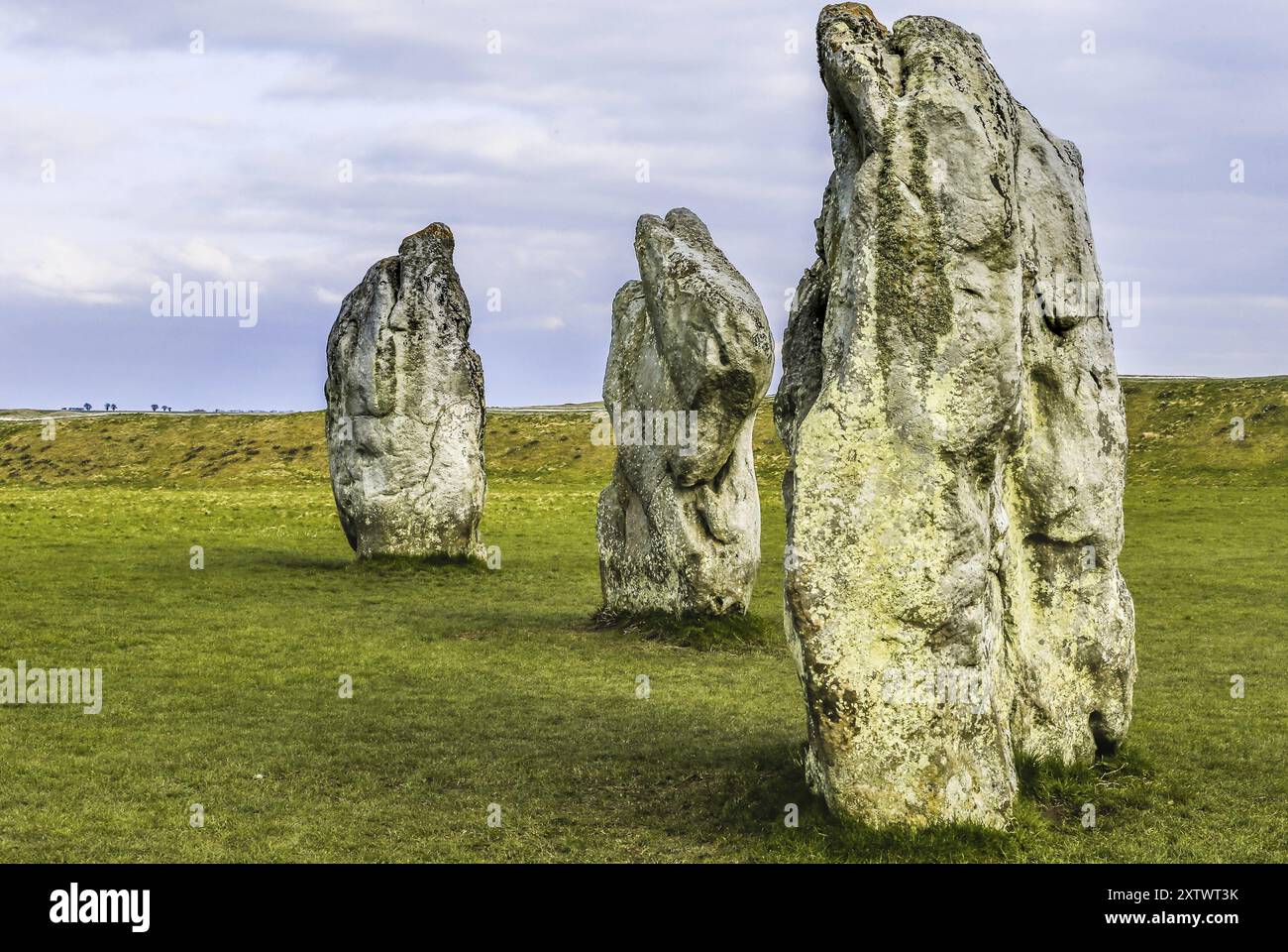 Group of Menhirs standing on Gras Stock Photo - Alamy