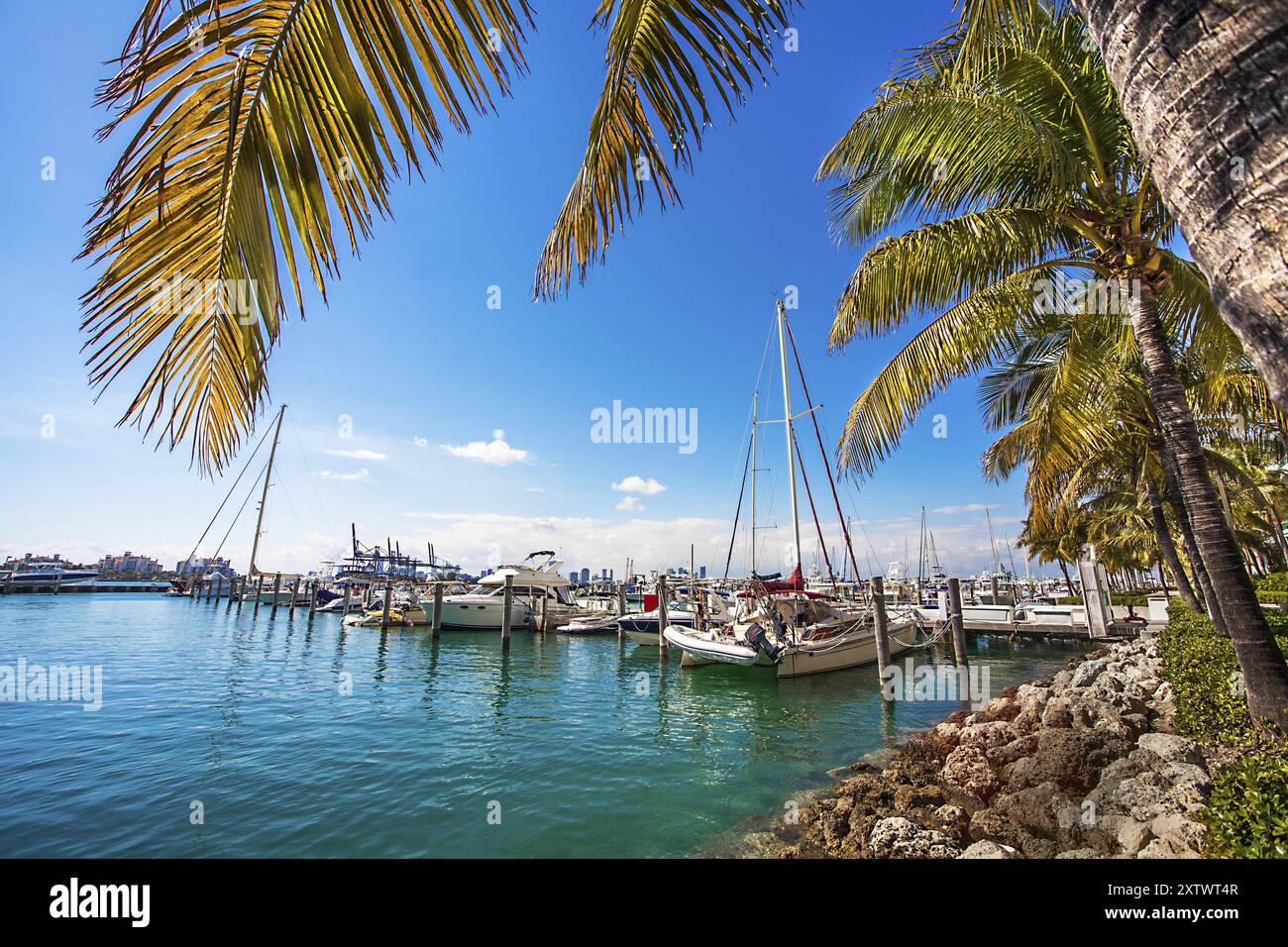 Yacht harbor in Miami Florida USA Stock Photo - Alamy